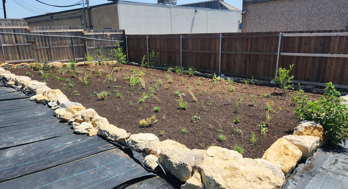 The beginning – Eco Blossom Nursery